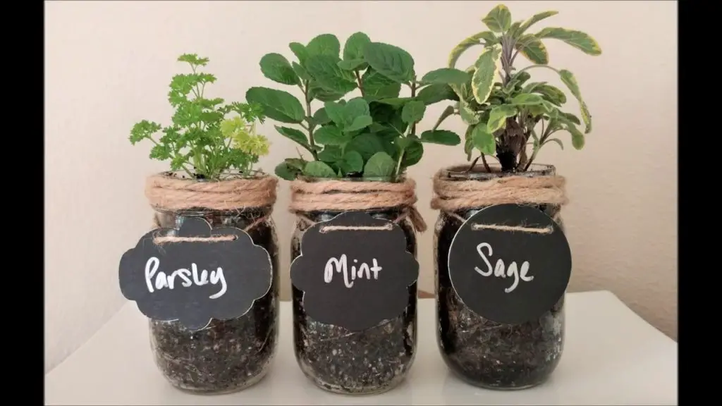 How To Make Diy Mason Jars Herb Garden Slick Garden