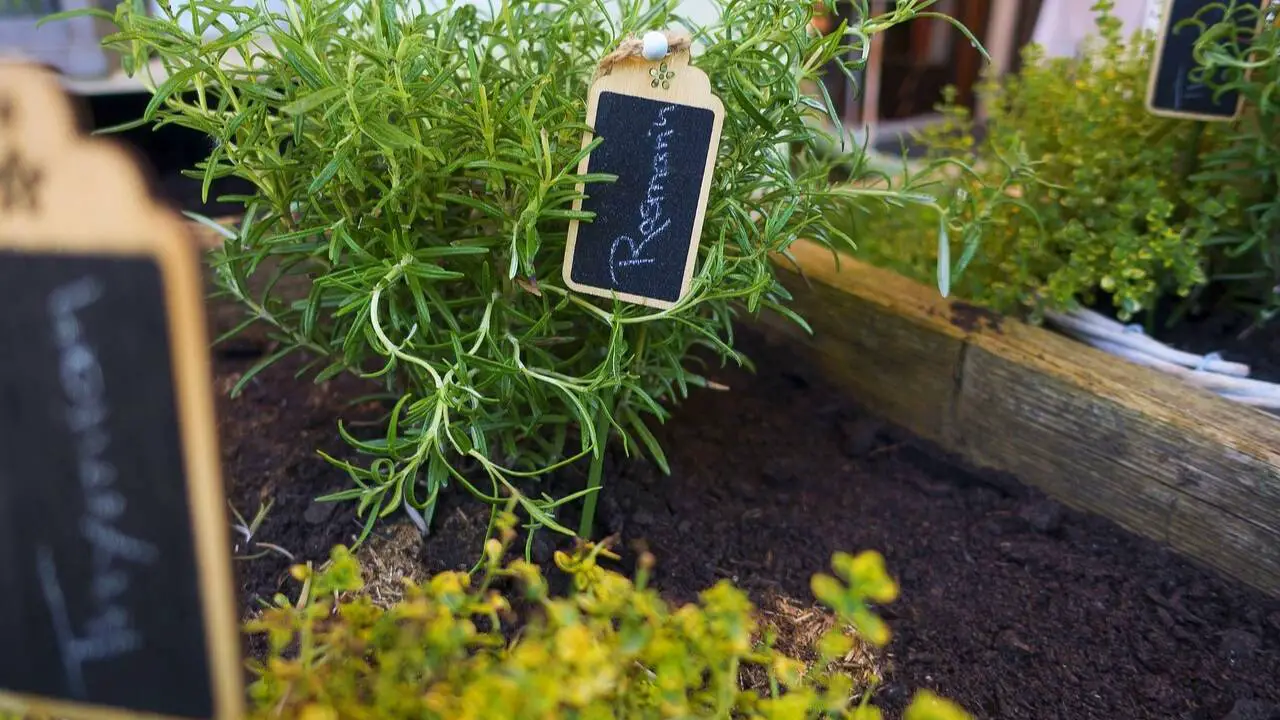 How To Build A Raised Bed Herb Garden – Slick Garden