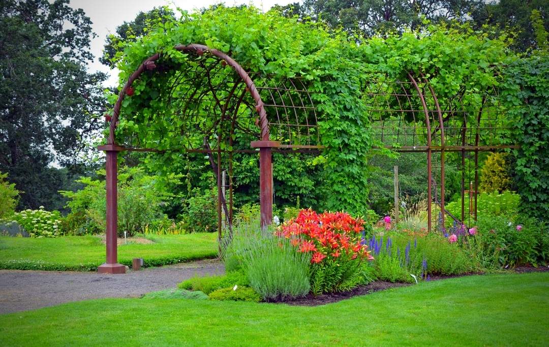 10 VEGETABLE GARDEN TRELLIS IDEAS – Slick Garden