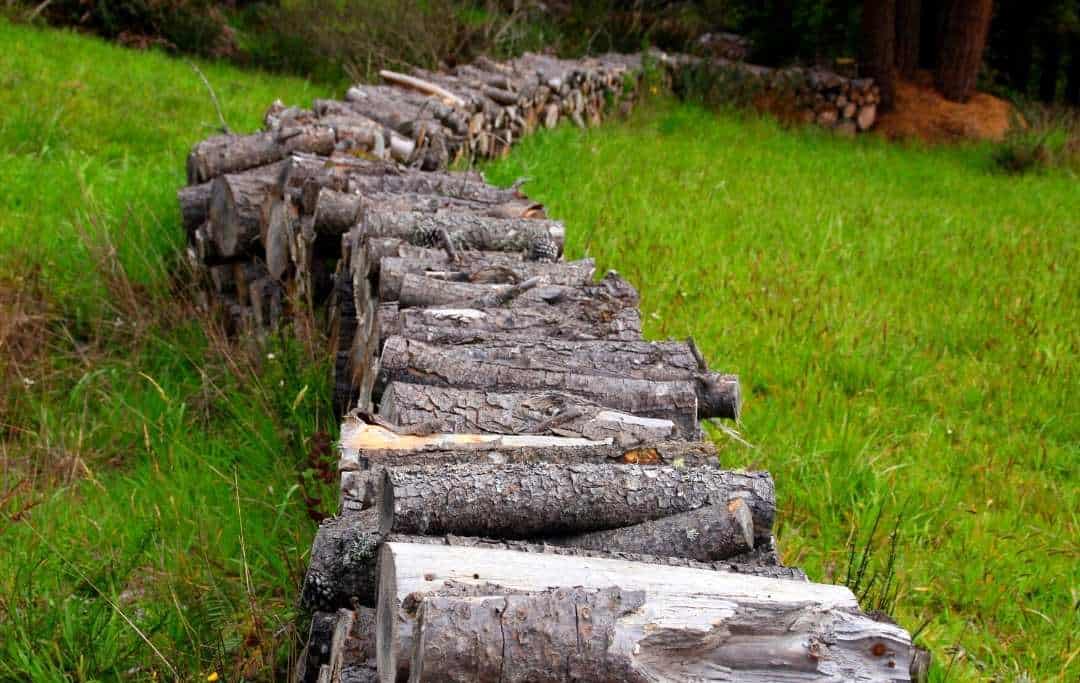 20 DIY GARDEN FENCE IDEAS FOR YOUR BEAUTIFUL GARDEN – Slick Garden