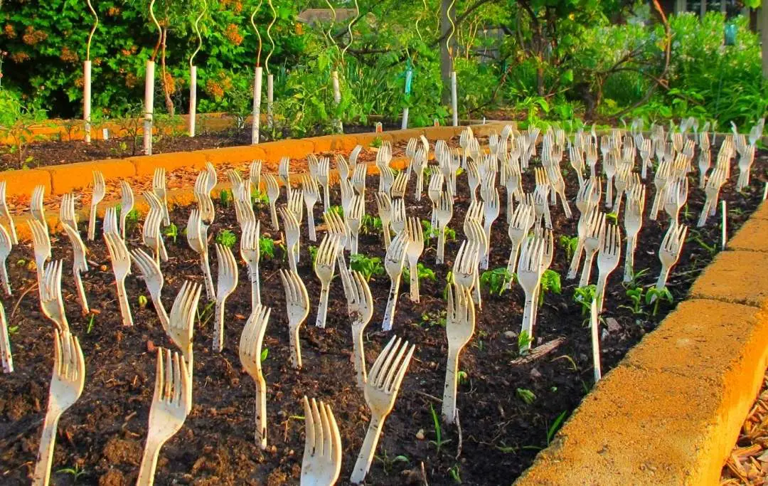 20 GARDENING HACKS YOU NEED TO KNOW NOW – Slick Garden