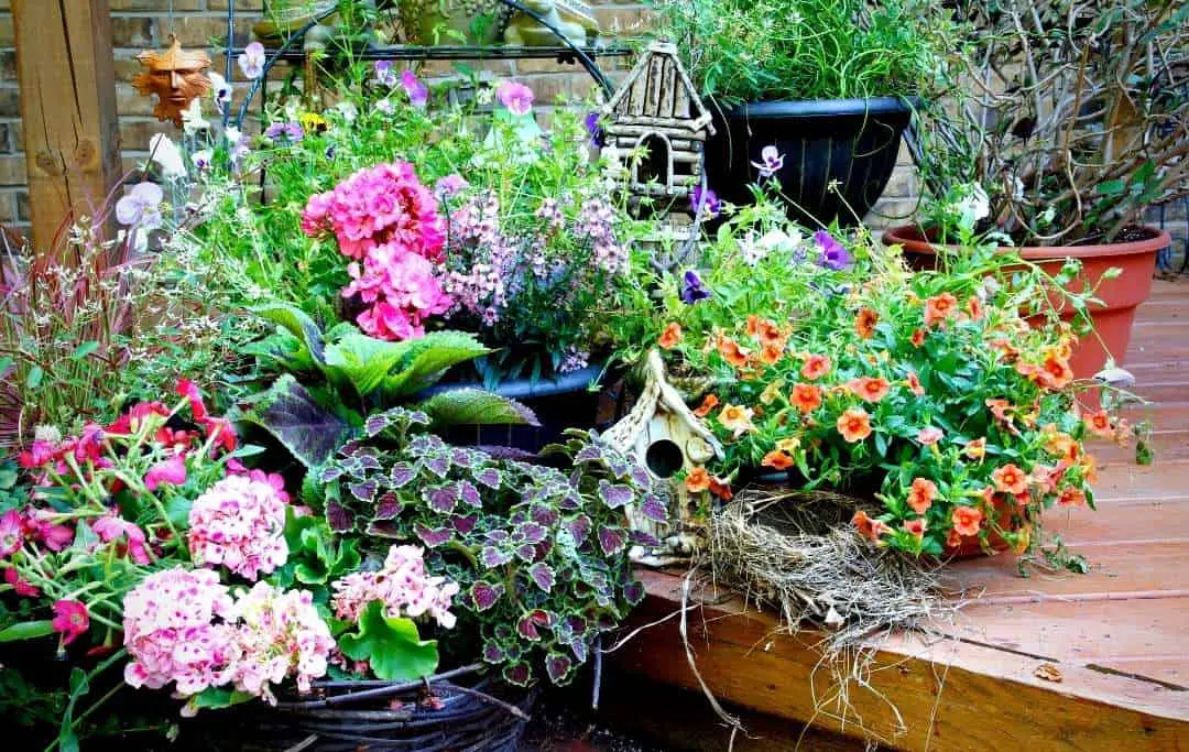 20 FUN GARDEN PROJECTS TO DO IN LOCKDOWN – Slick Garden