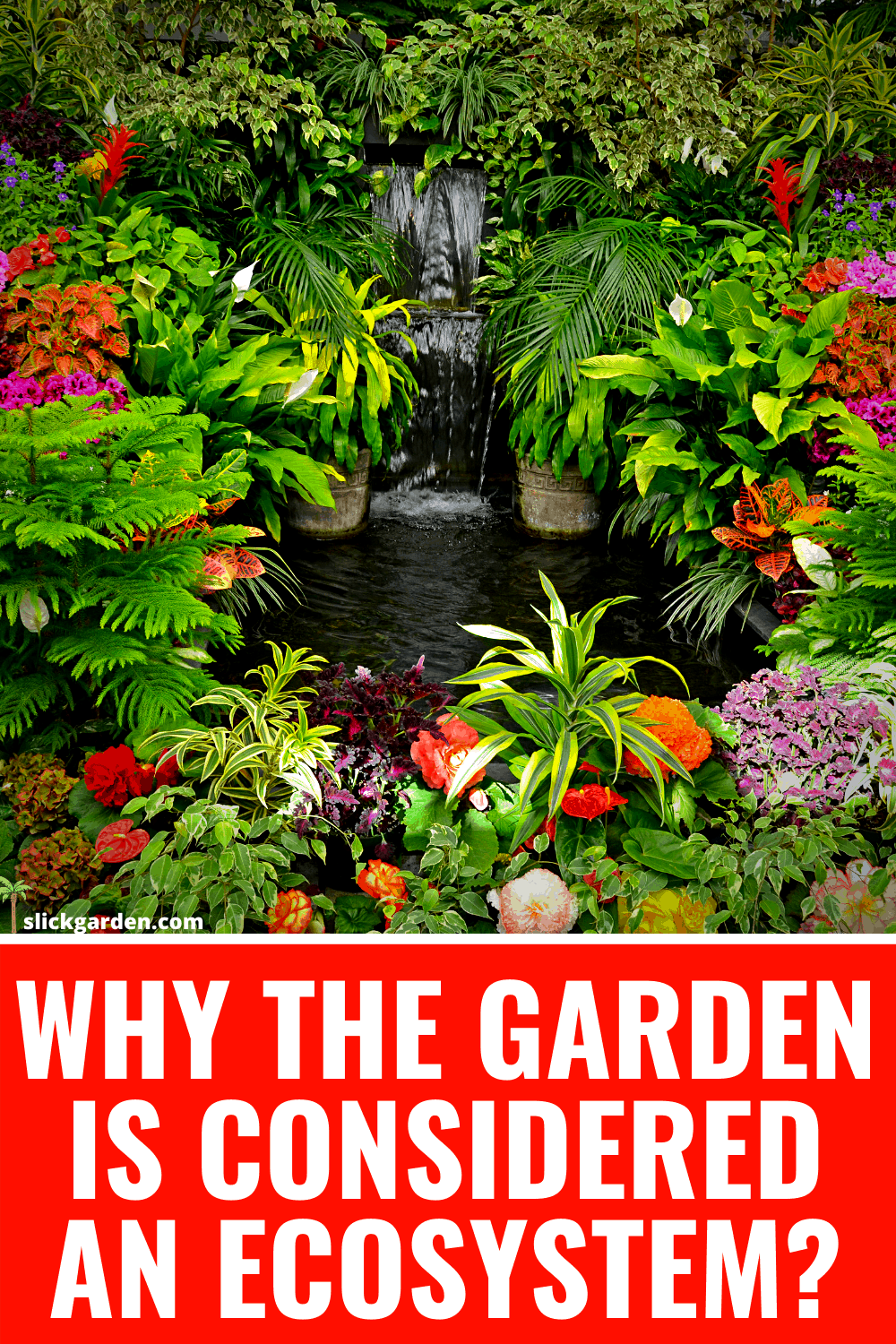 WHY THE GARDEN IS CONSIDERED AN ECOSYSTEM? – Slick Garden