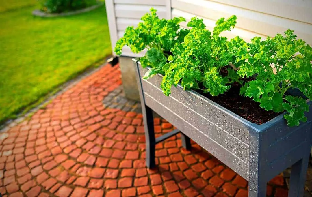 HOW TO BUILD A PLANTER BOX FOR VEGETABLES Slick Garden