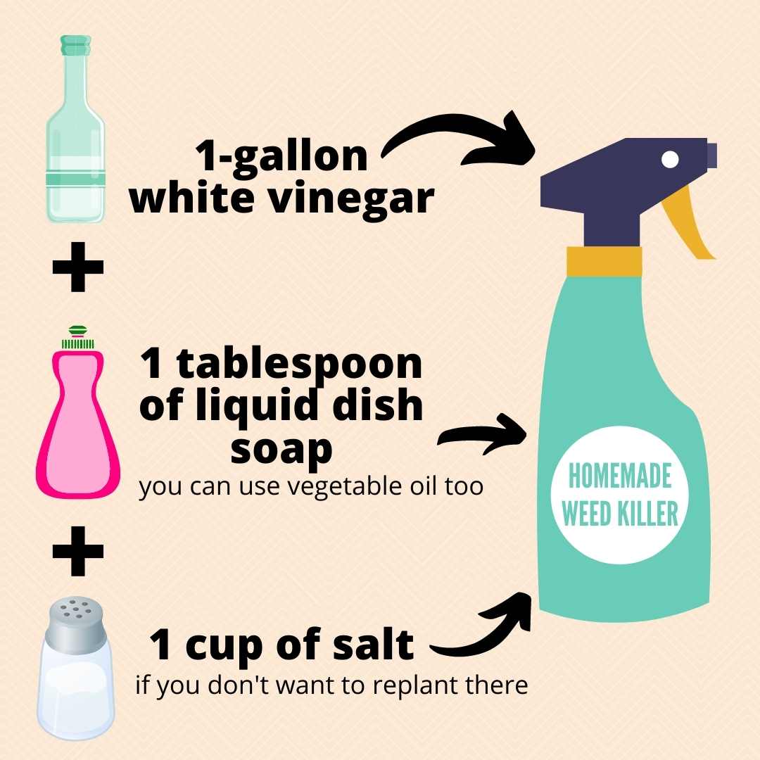 HOW TO MAKE NATURAL & SAFE HOMEMADE WEED KILLER? - Slick Garden - All ...