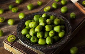 GROWING KIWI BERRIES IN POT – Slick Garden