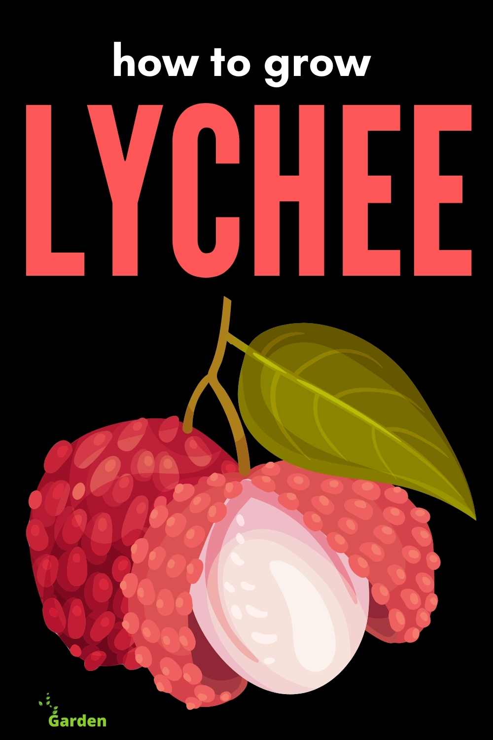 HOW TO GROW LYCHEE FROM CUTTINGS? – Slick Garden