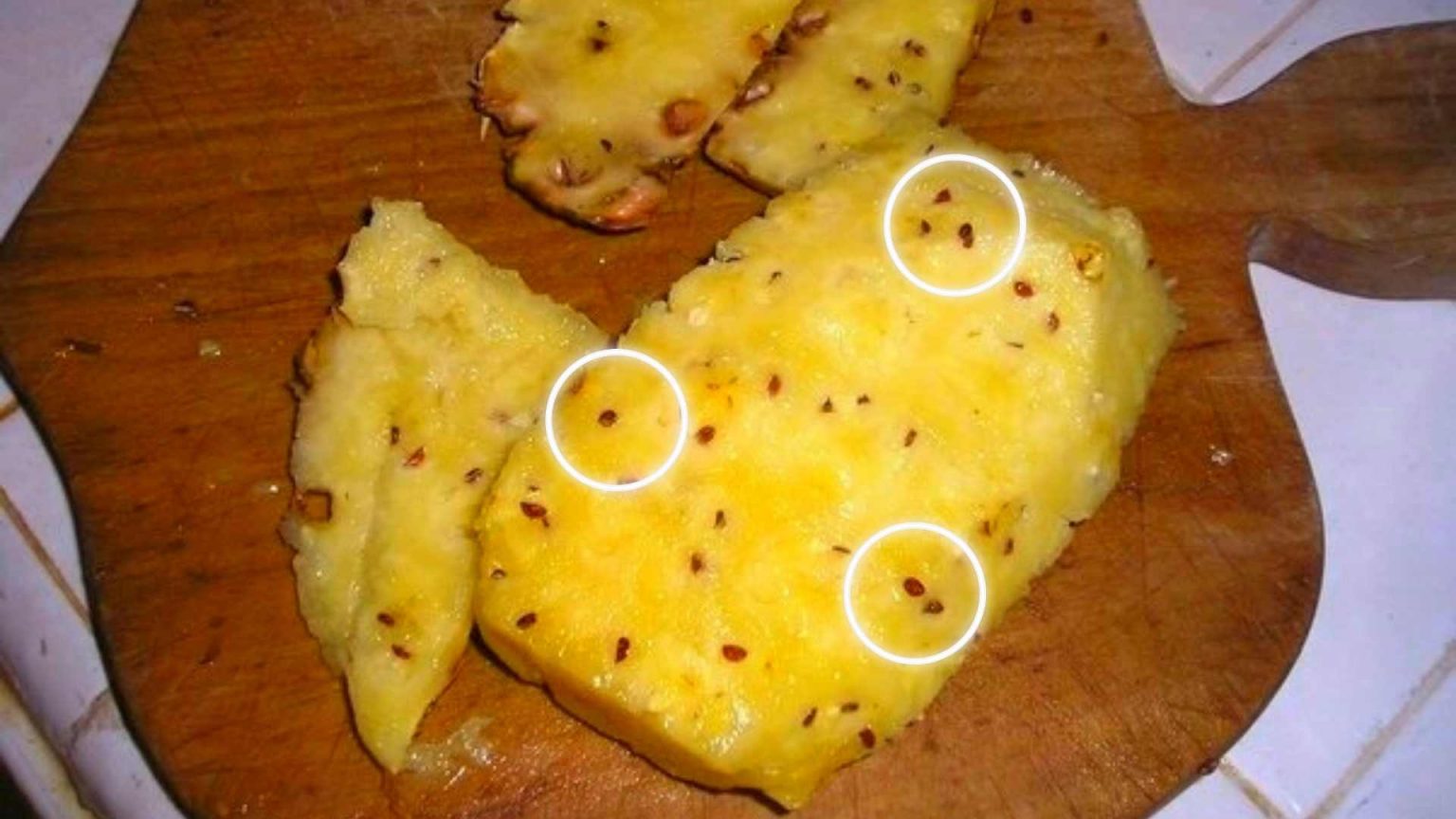 HOW TO GROW PINEAPPLE FROM SEEDS? – Slick Garden