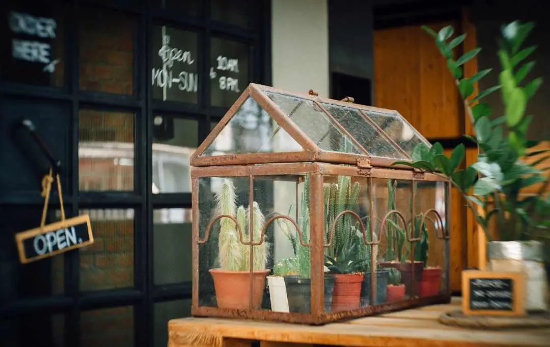 Fantastic Terrarium Ideas You Can Have At Home – Slick Garden