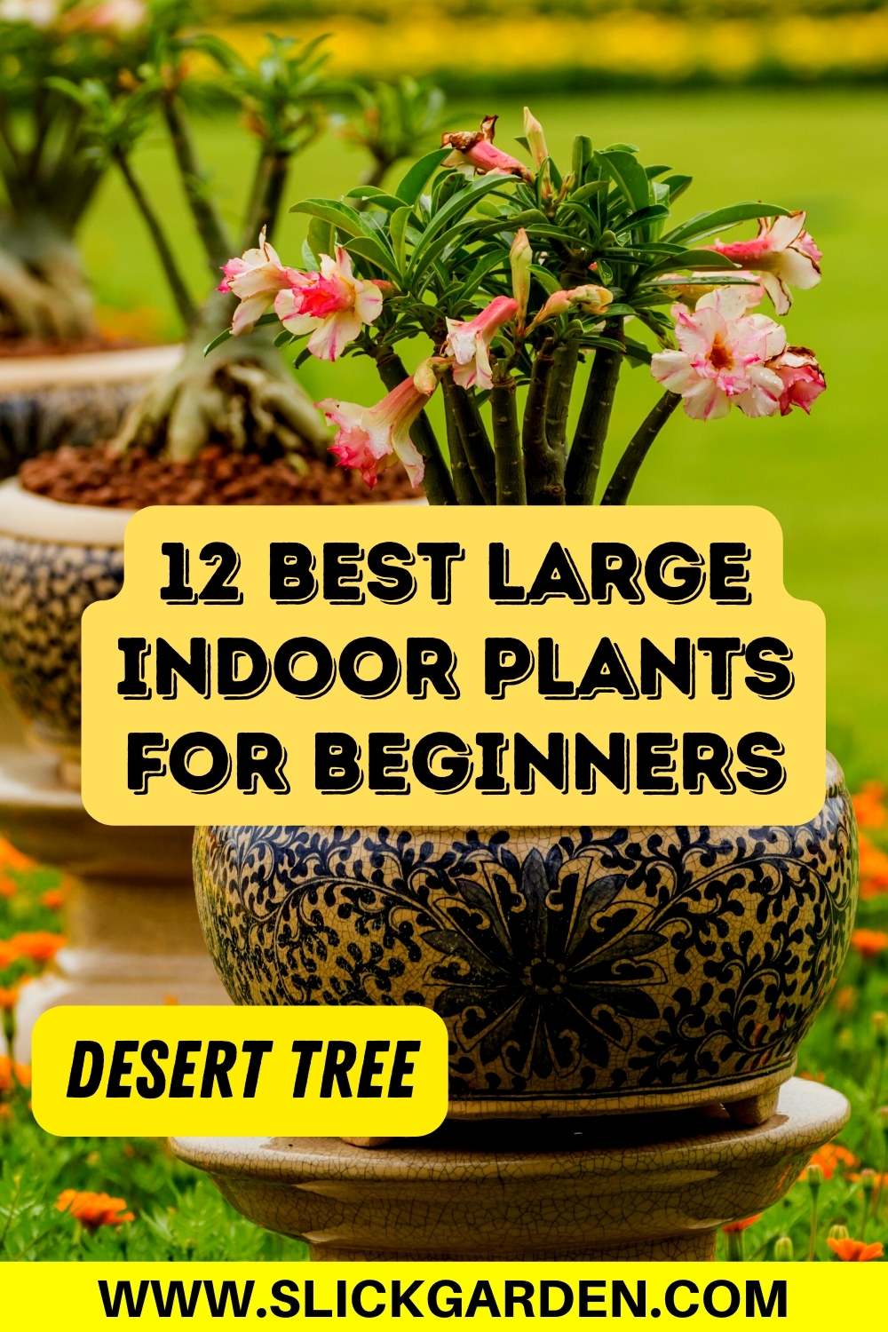 12 Best Large Indoor Plants For Beginners – Slick Garden