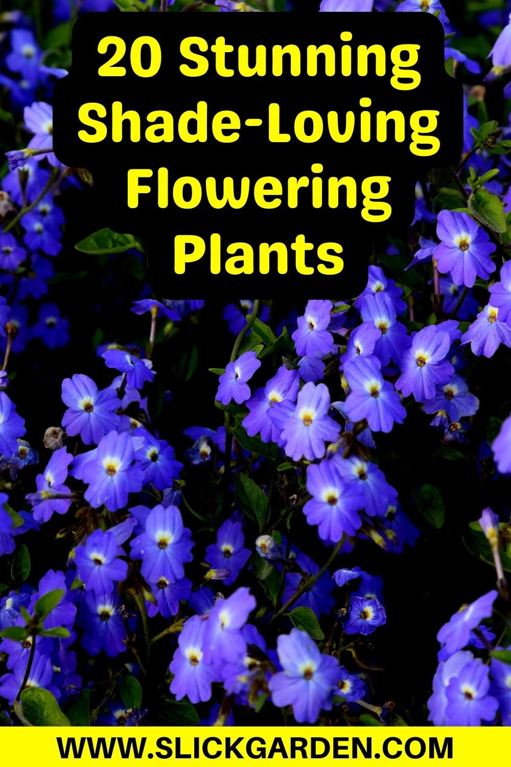 20 Shade-Loving Flowering Plants – Slick Garden