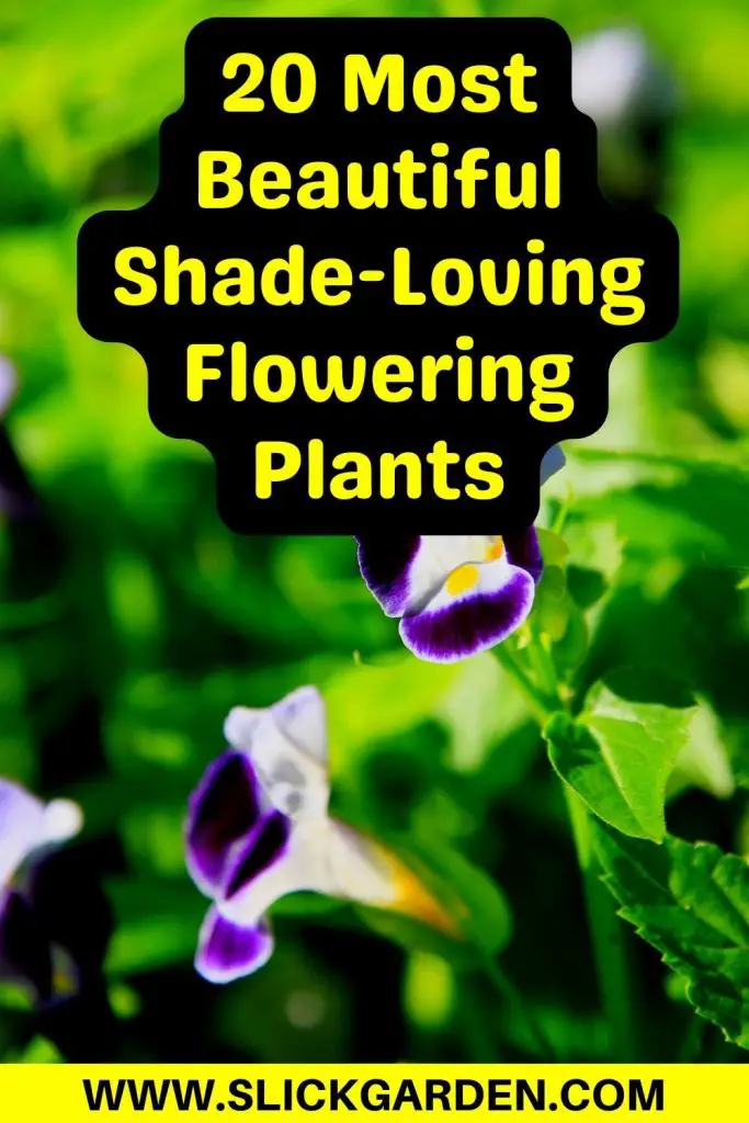 20 Shade-Loving Flowering Plants – Slick Garden