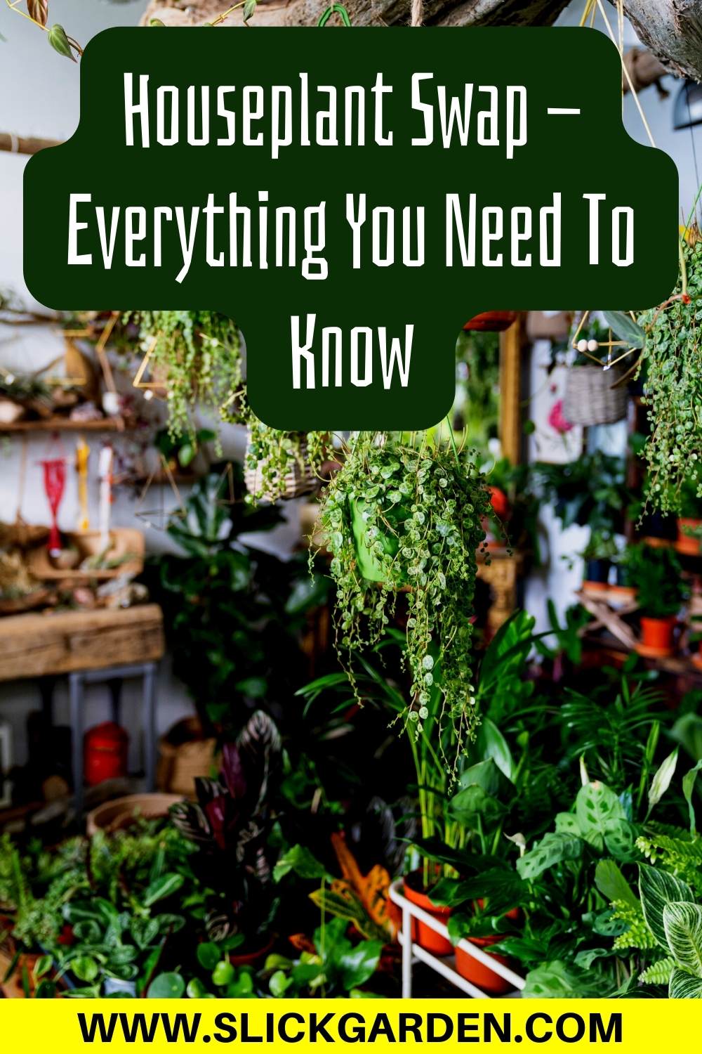 Houseplant Swap – Everything You Need To Know – Slick Garden