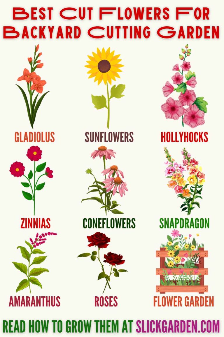 How To Design A Backyard Cutting Garden? – Slick Garden