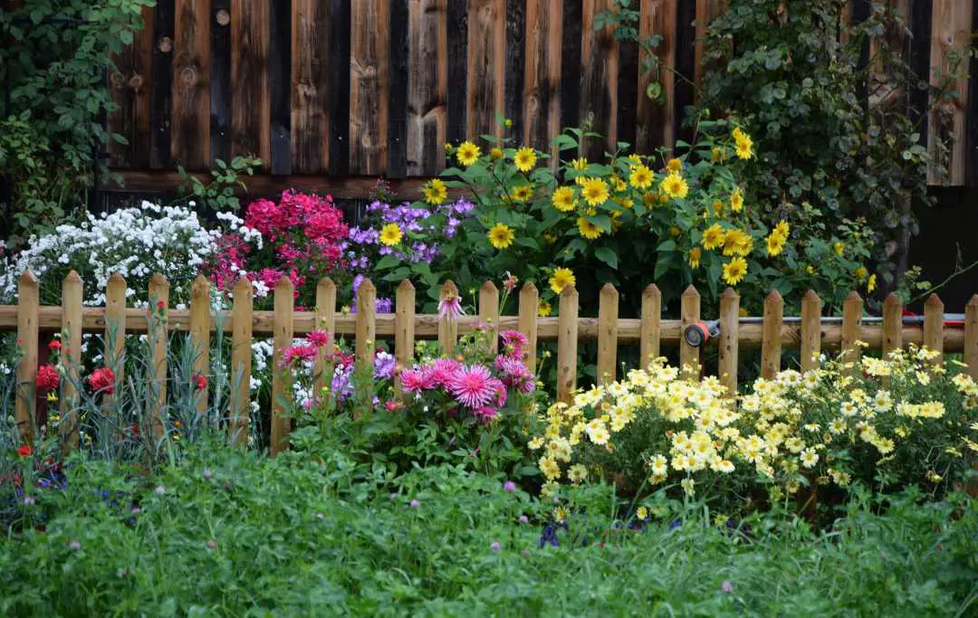 How To Design A Backyard Cutting Garden? – Slick Garden