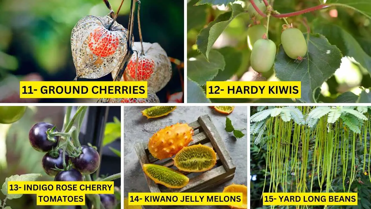 20 Unusual Edible Plants For Your Garden – Slick Garden