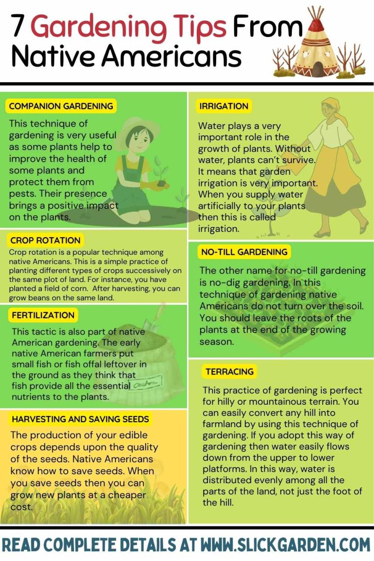 7 Gardening Tips From Native Americans For A Sustainable And Harmonious ...