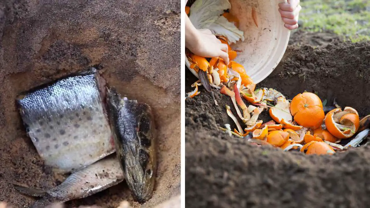 7 Gardening Tips From Native Americans For A Sustainable And Harmonious ...