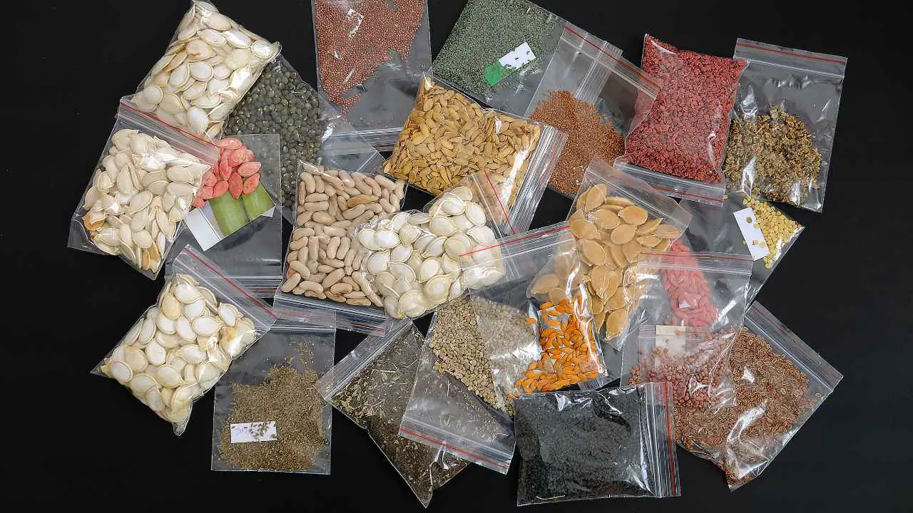 How To Save Seeds? – Slick Garden