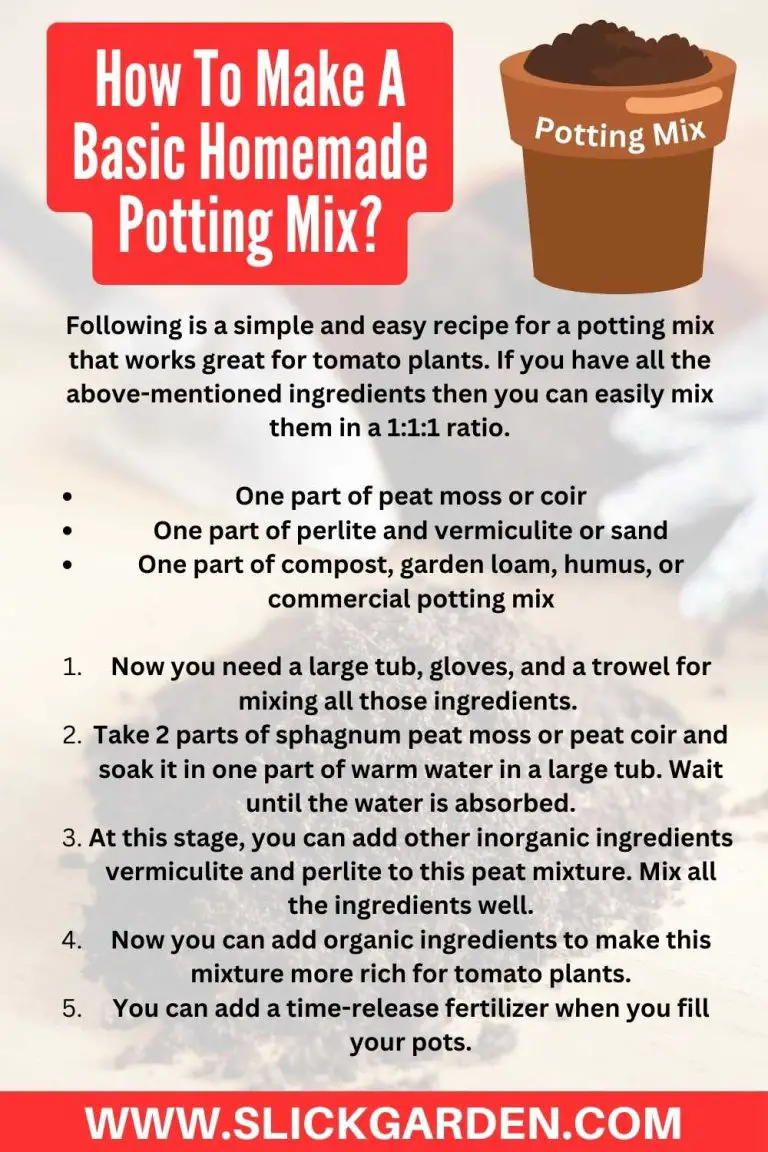 How To Prepare Soil For Tomatoes In Pots? – Slick Garden