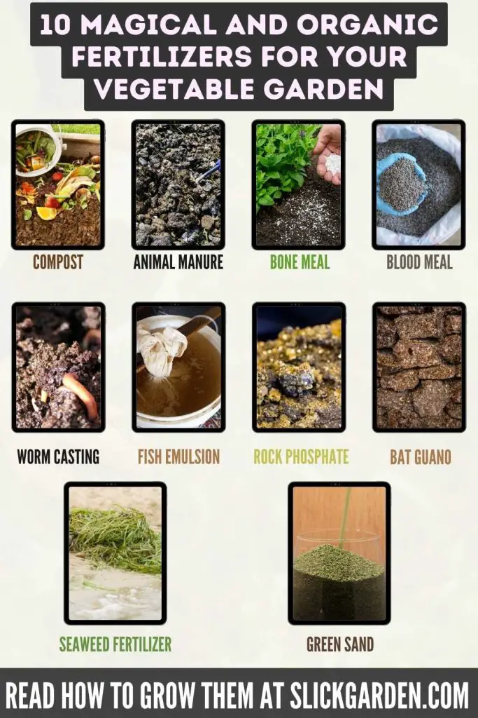 10 Magical And Organic Fertilizers For Your Vegetable Garden – Slick Garden