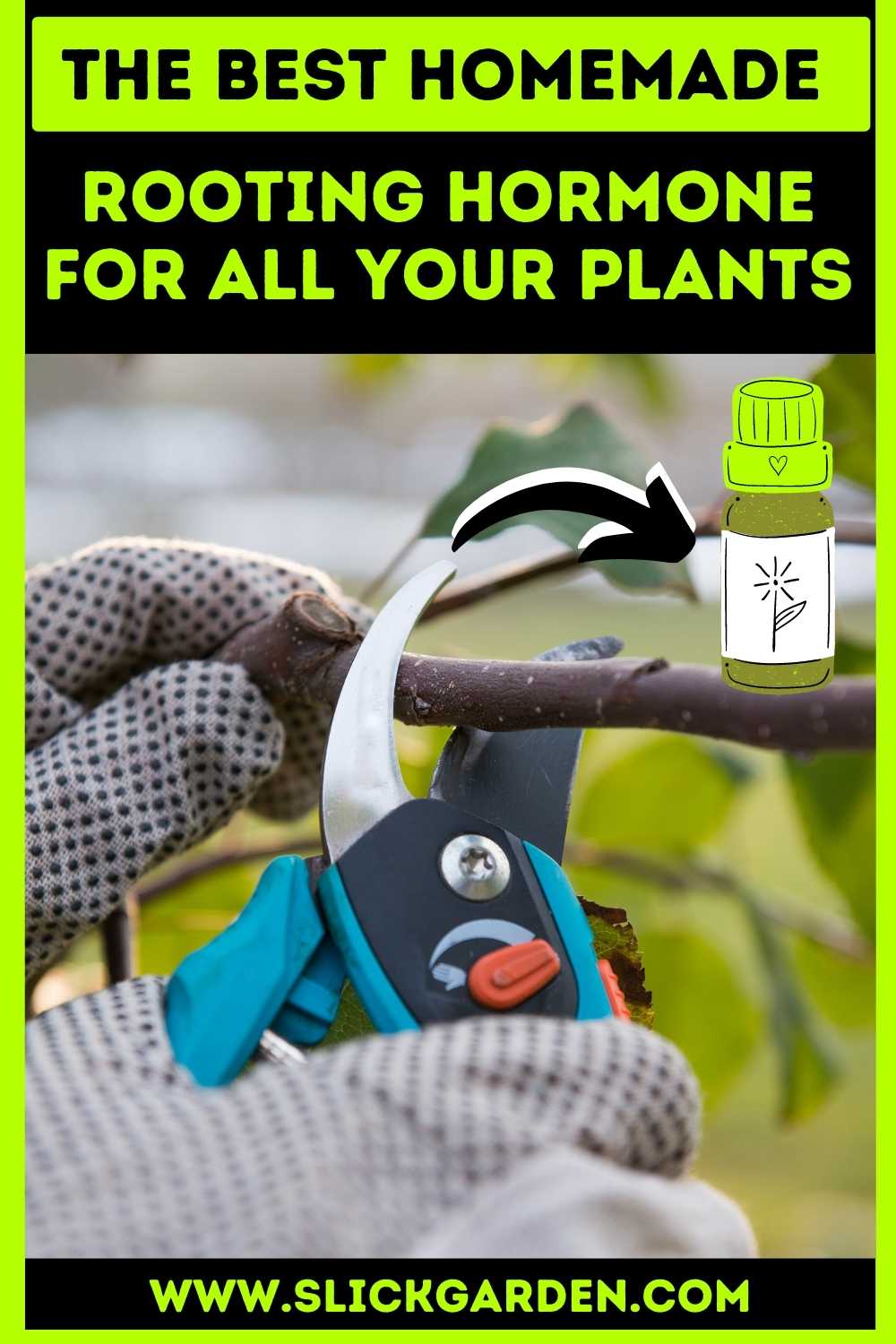 The Best Homemade Rooting Hormone For All Your Plants – Slick Garden