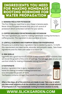 The Best Homemade Rooting Hormone For All Your Plants – Slick Garden