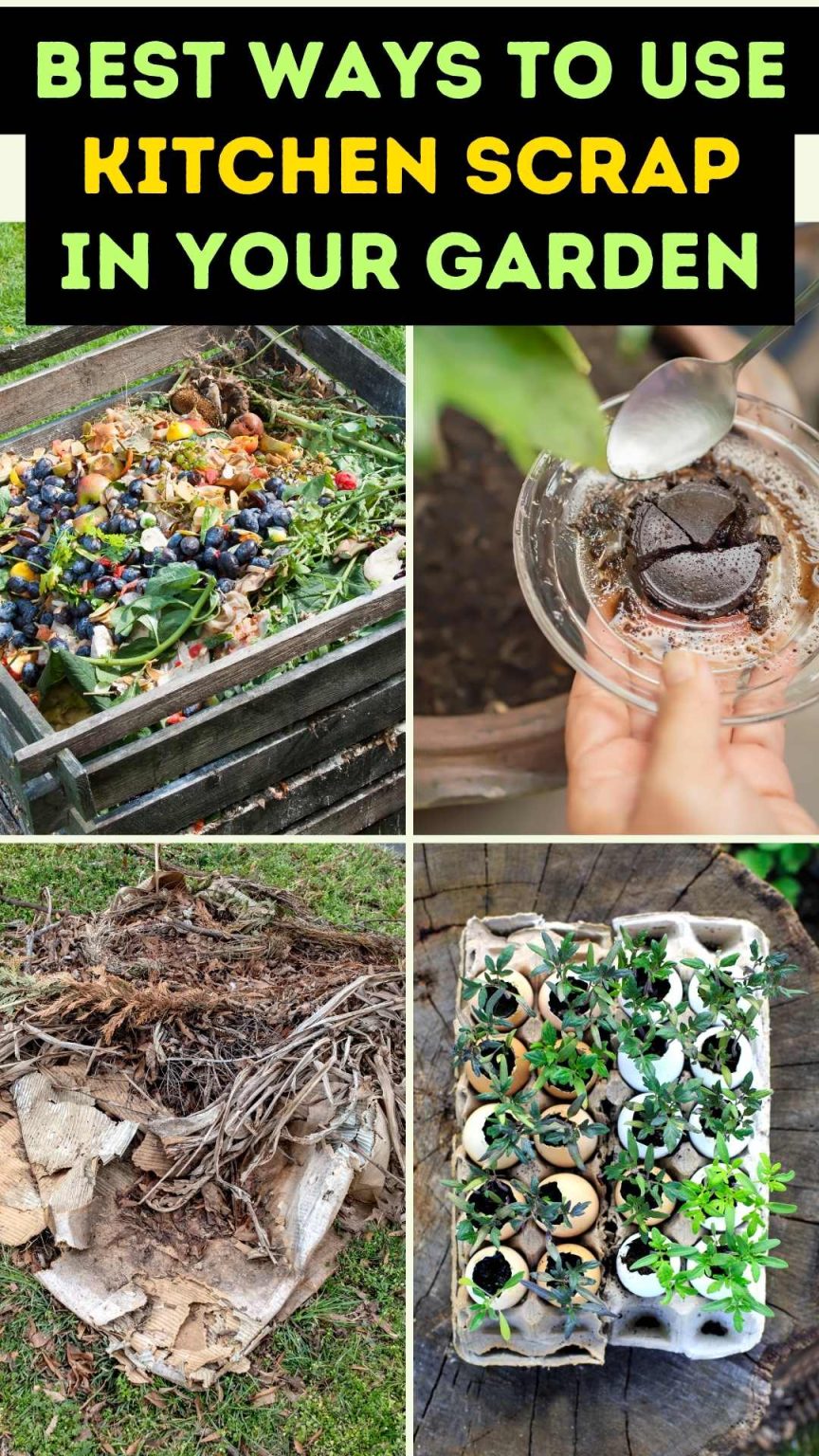 Best Ways To Use Kitchen Scrap In Your Garden – Slick Garden
