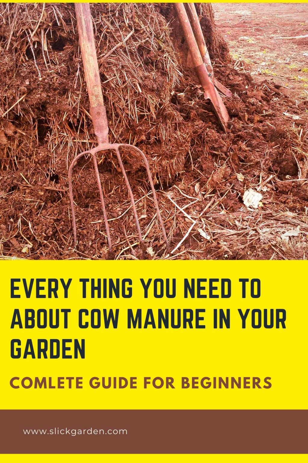 Every Thing You Need To About Cow Manure In Your Garden – Slick Garden