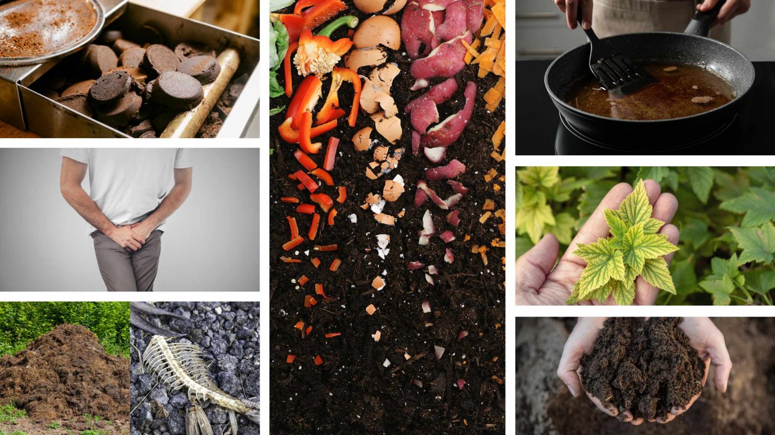 What Is Good For Using As A Compost Activator? – Slick Garden