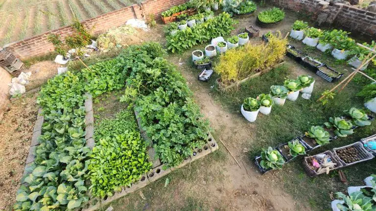 High-Yield Vegetables For Small Gardens – Slick Garden