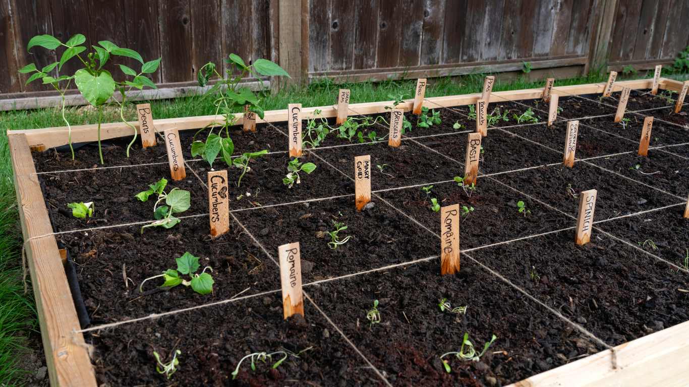 Methods Of Planting Vegetables In The Ground – Slick Garden