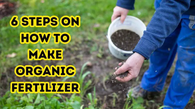 6 Steps On How To Make Organic Fertilizer – Slick Garden