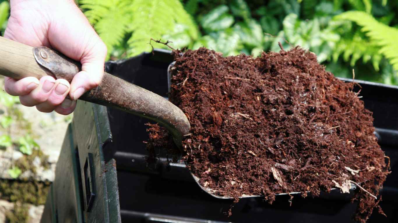 6 Steps On How To Make Organic Fertilizer – Slick Garden