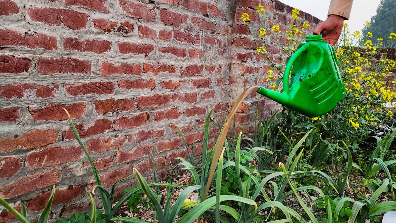 How To Make Compost Tea At Home? – Slick Garden