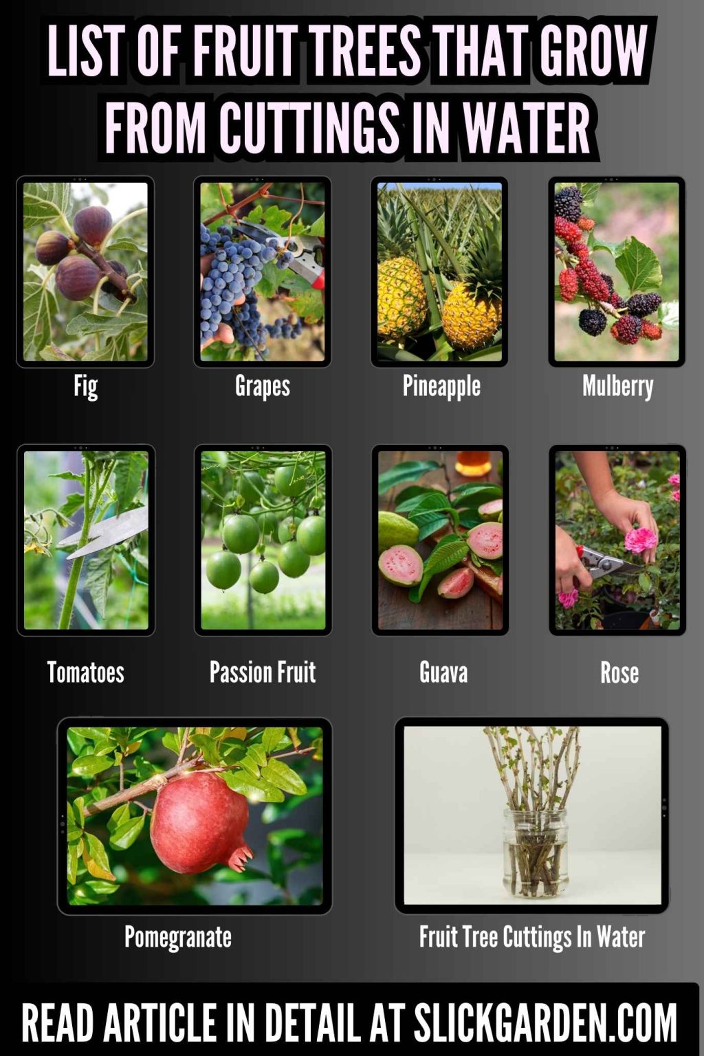 List Of Fruit Trees That Grow From Cuttings In Water – Slick Garden