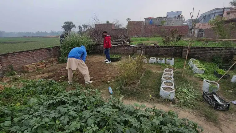 How To Make A No-Dig Raised Bed? – Slick Garden