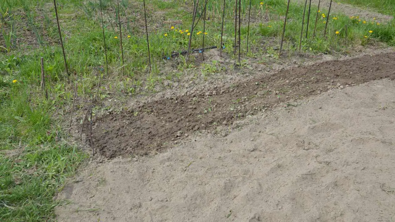 How to Prepare a Garden Bed for Planting Shrubs – Slick Garden