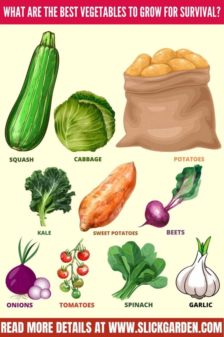 What Are The Best Vegetables To Grow For Survival? – Slick Garden