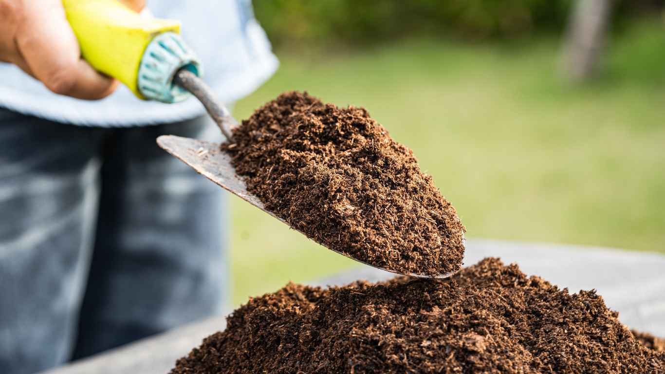 How to Recycle and Reuse Old Potting Soil? – Slick Garden