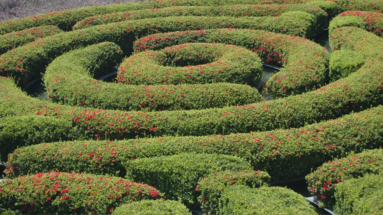 20 Weird Gardening Ideas You Should Try – Slick Garden