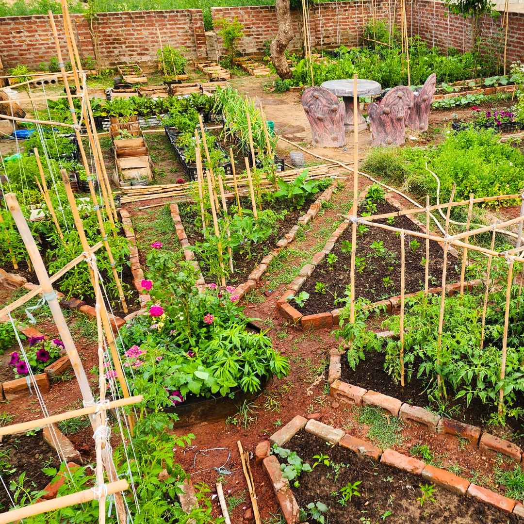 How to Plan a Garden Layout? – Slick Garden