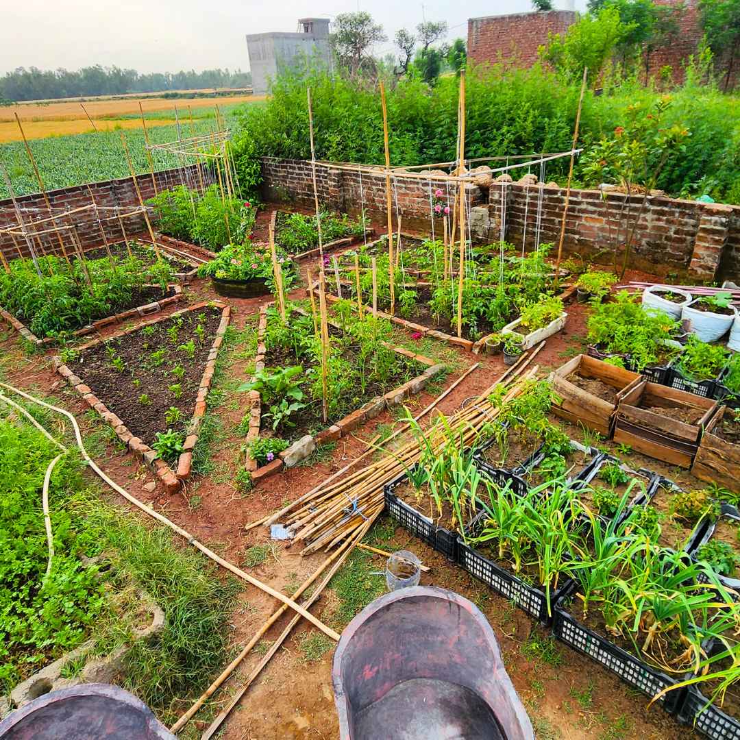 How to Plan a Garden Layout? – Slick Garden