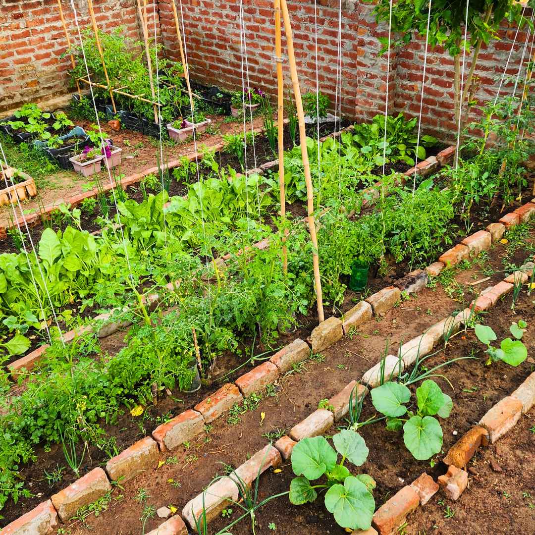 How To Plan A Garden Layout Slick Garden