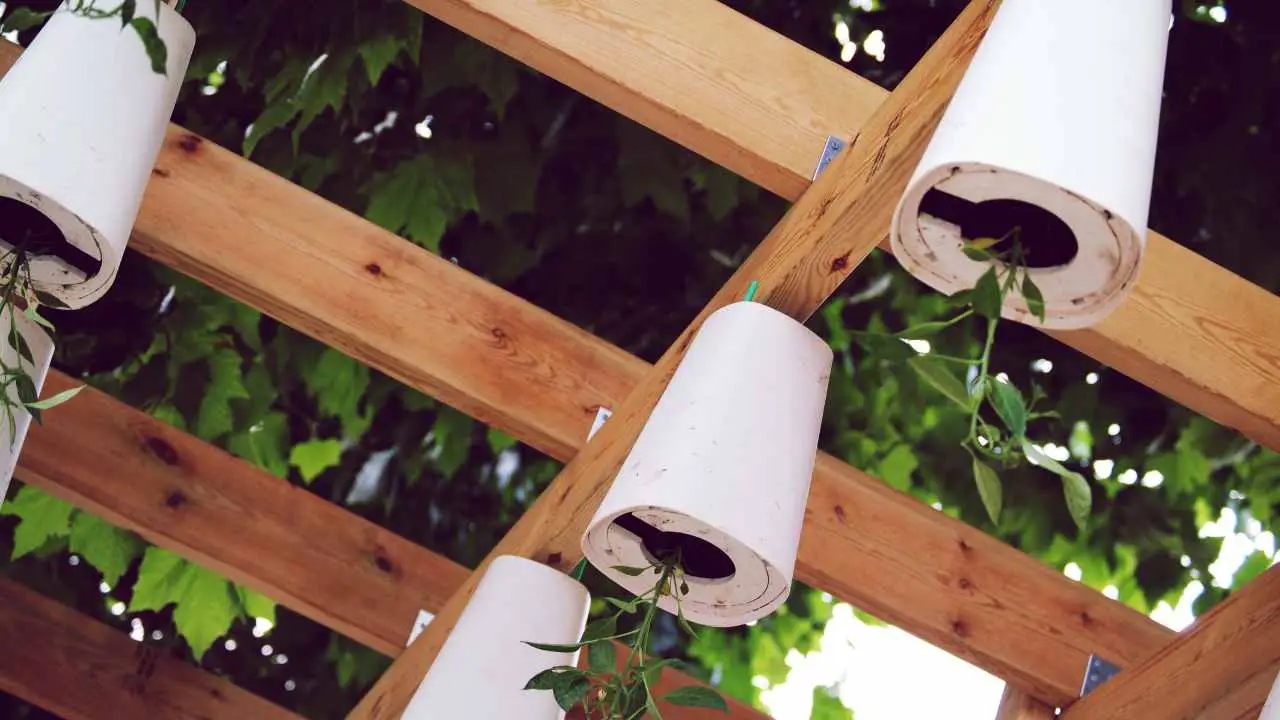 20 Weird Gardening Ideas You Should Try – Slick Garden