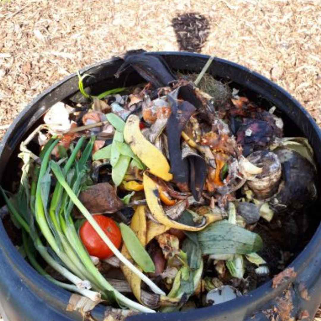 Top 10 Tips To Prepare Your Garden For Spring Planting: – Slick Garden