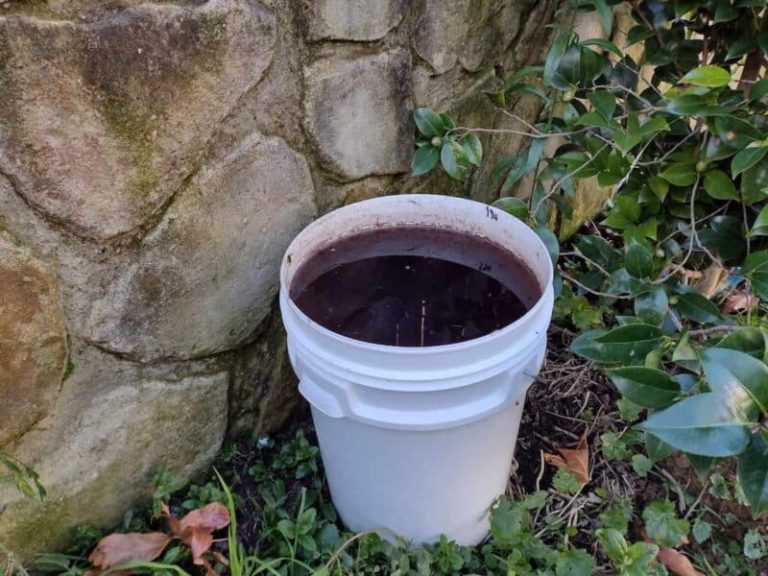 Boost Your Garden’s Health With Homemade Concentrated Weed Tea ...