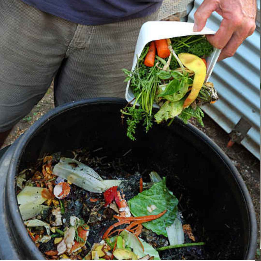 Organic Fertilizer Recipes For Spring Vegetable Garden: – Slick Garden
