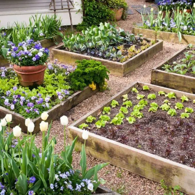 5 No-Dig Garden Bed Ideas For Effortless Gardening Success: – Slick Garden