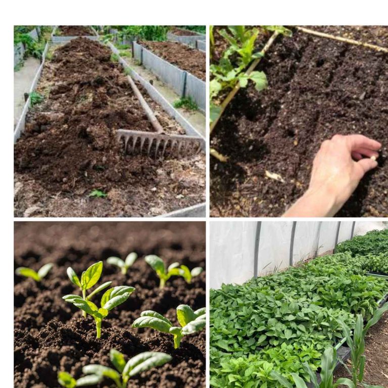 How To Start a Spring Garden With Limited Space: – Slick Garden